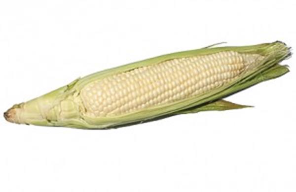White Sweet Corn | Hy-Vee Aisles Online Grocery Shopping