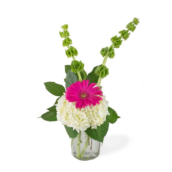 Hy-Vee Aisles Online Grocery Shopping