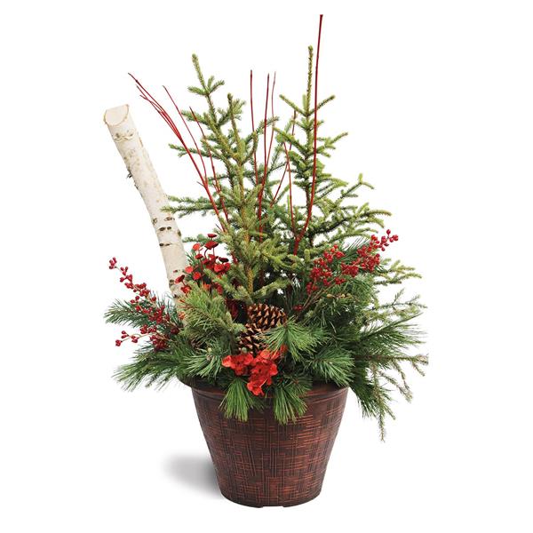 Premium Spruce Top Planter | Hy-Vee Aisles Online Grocery Shopping