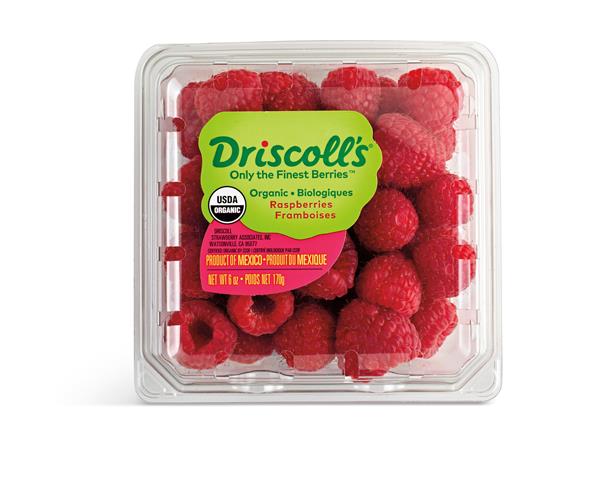 Organic Driscoll Strawberries