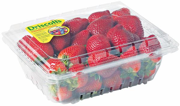 Driscoll Strawberry Container