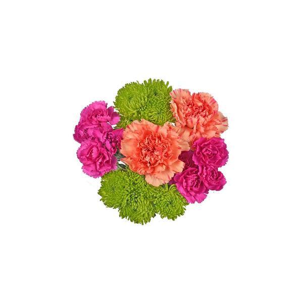 Hy-Vee Aisles Online Grocery Shopping